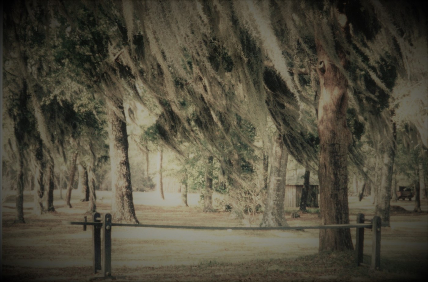 Hopsewee Hallows Georgetown, SC | Hopsewee Plantation